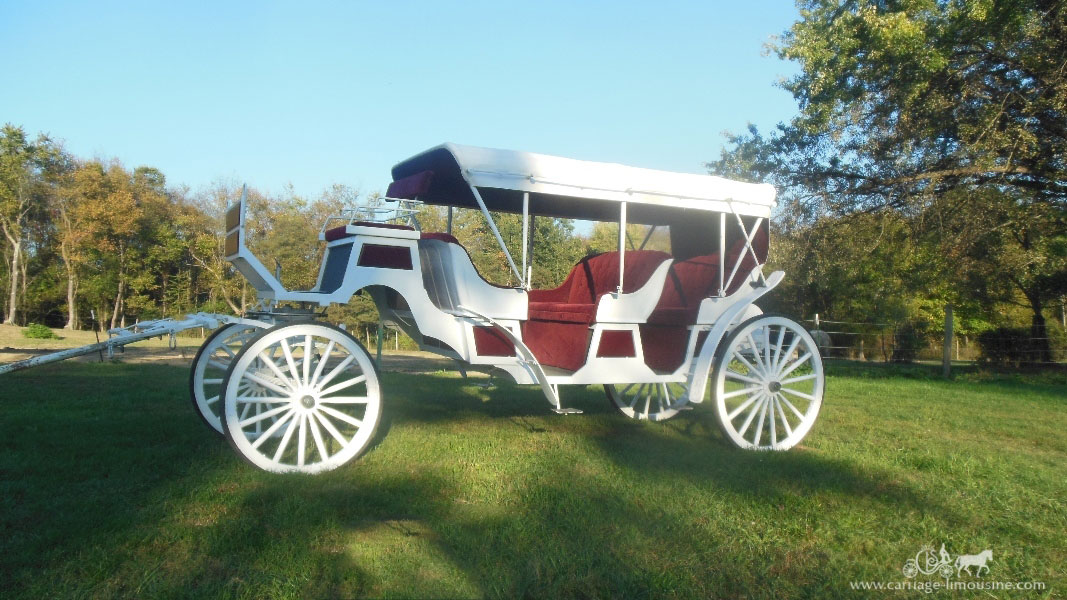 Carriage Limo adds vehicles | News, Sports, Jobs - The Herald Star